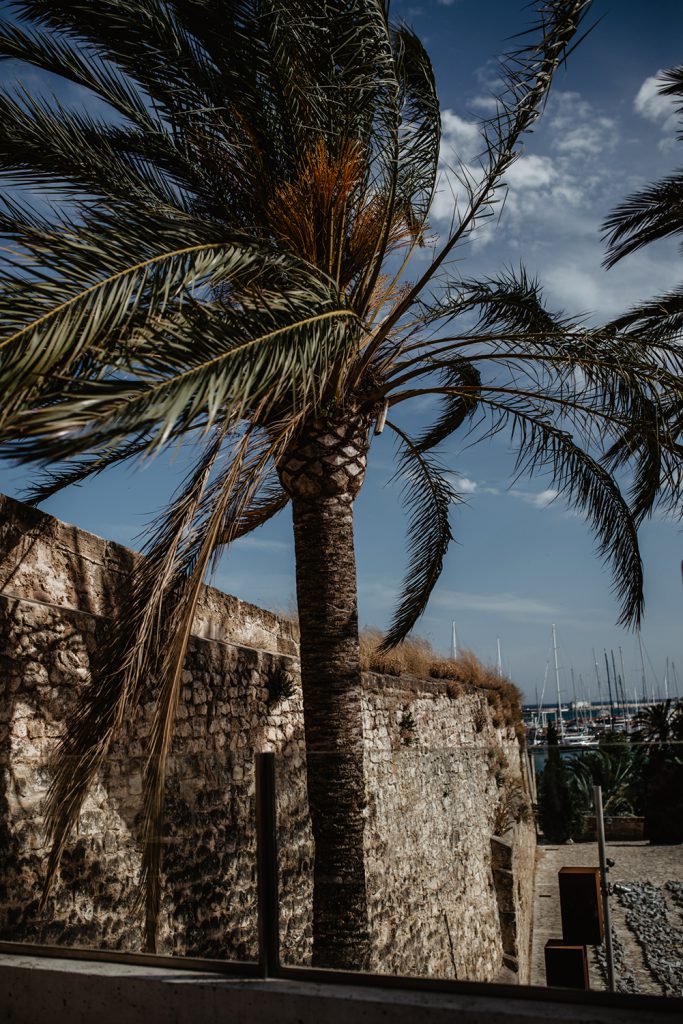 Palma erleben: So ist das neue Cook‘s Club Palma Beach Hotel!